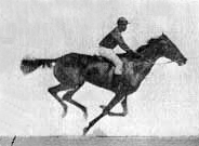 WikiRace — Race Through Wikipedia!